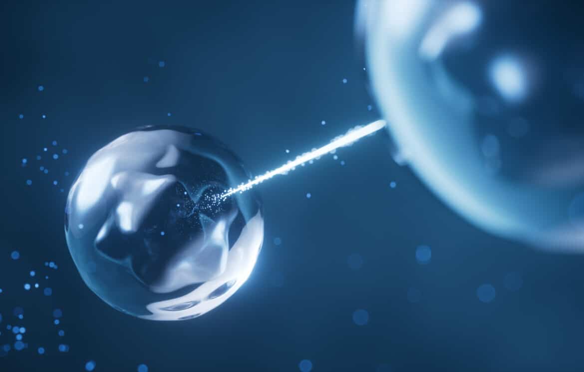 Quantum Teleportation