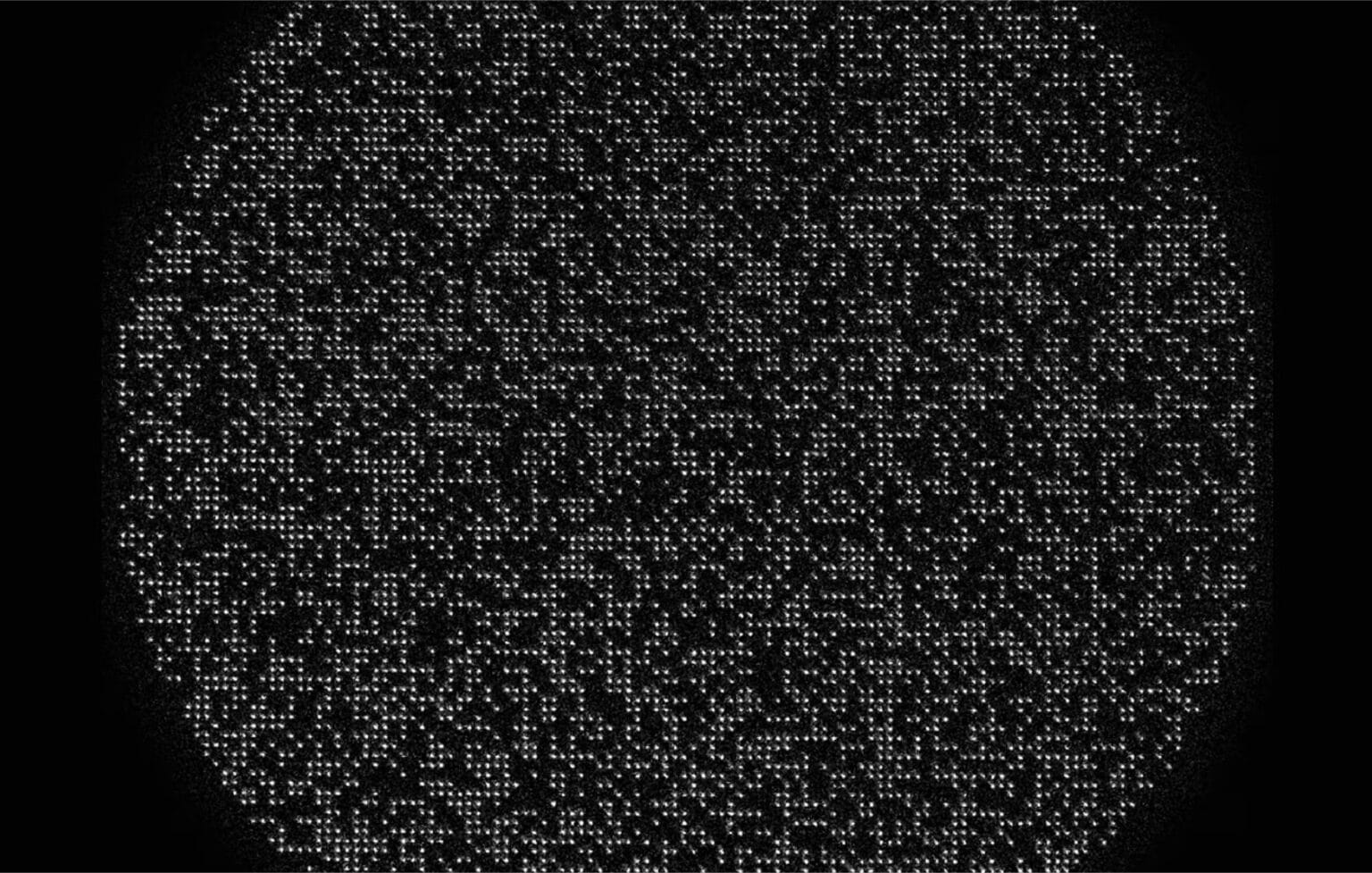 Caltech’s 6,100-Qubit Optical Tweezer Array: A Quantum Leap in Scale ...